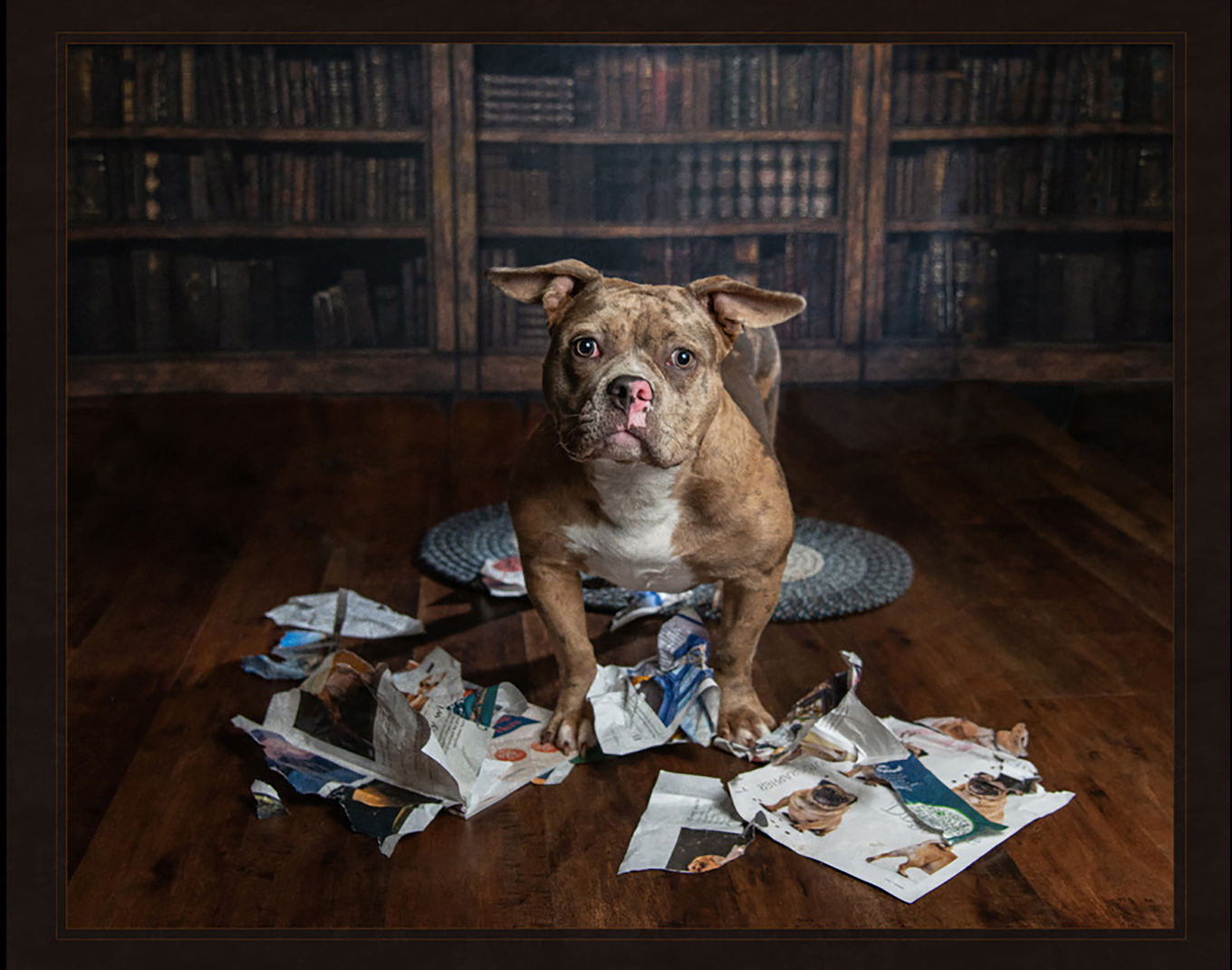 Creative Photography Assignment - Guilty - Capital Champlain